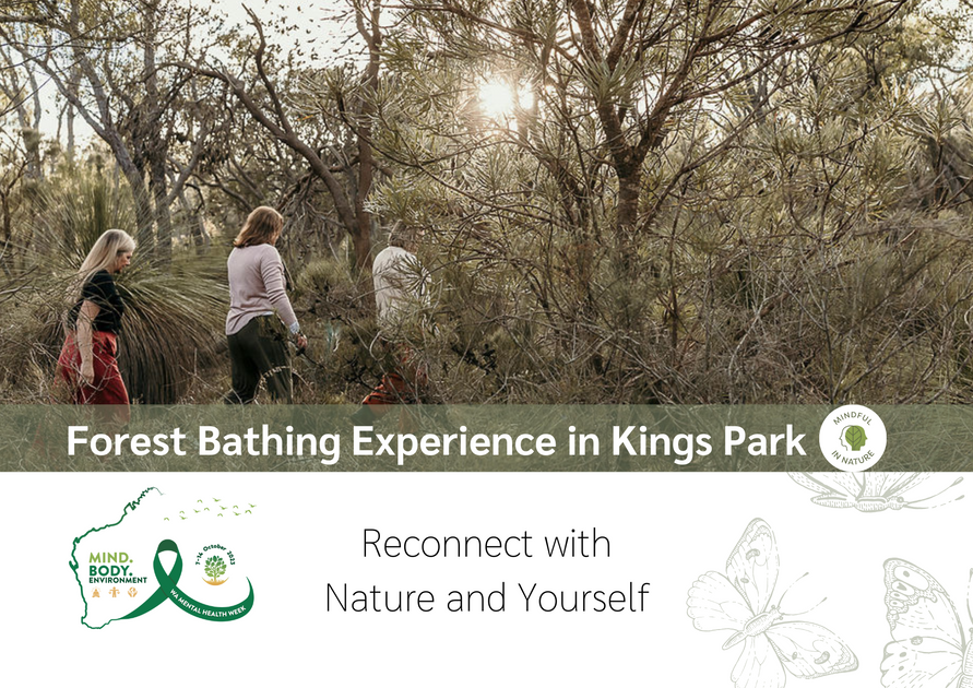 Forest Bathing Experience in Kings Park: Reconnect with Nature and ...